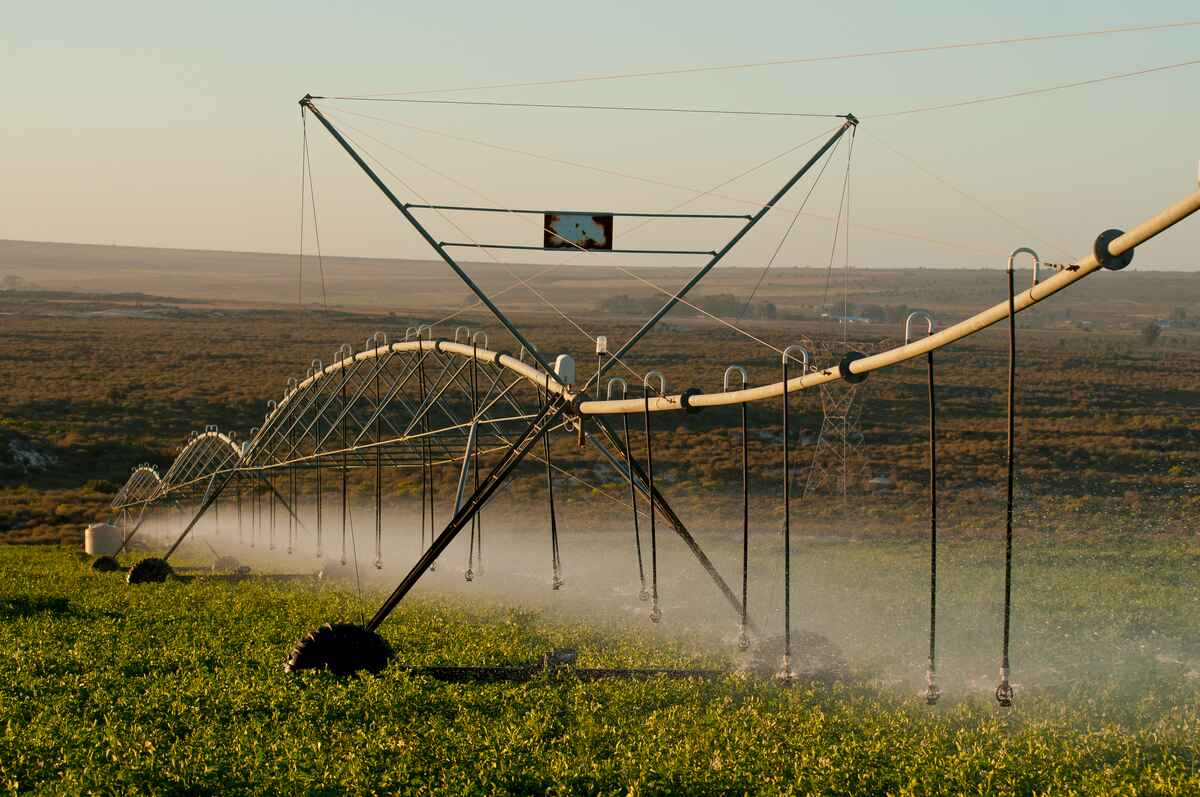 Climate Mitigation & Resilience | Bioplastic Feedstock Alliance Climate Mitigation & Resilience | Bioplastic Feedstock Alliance
